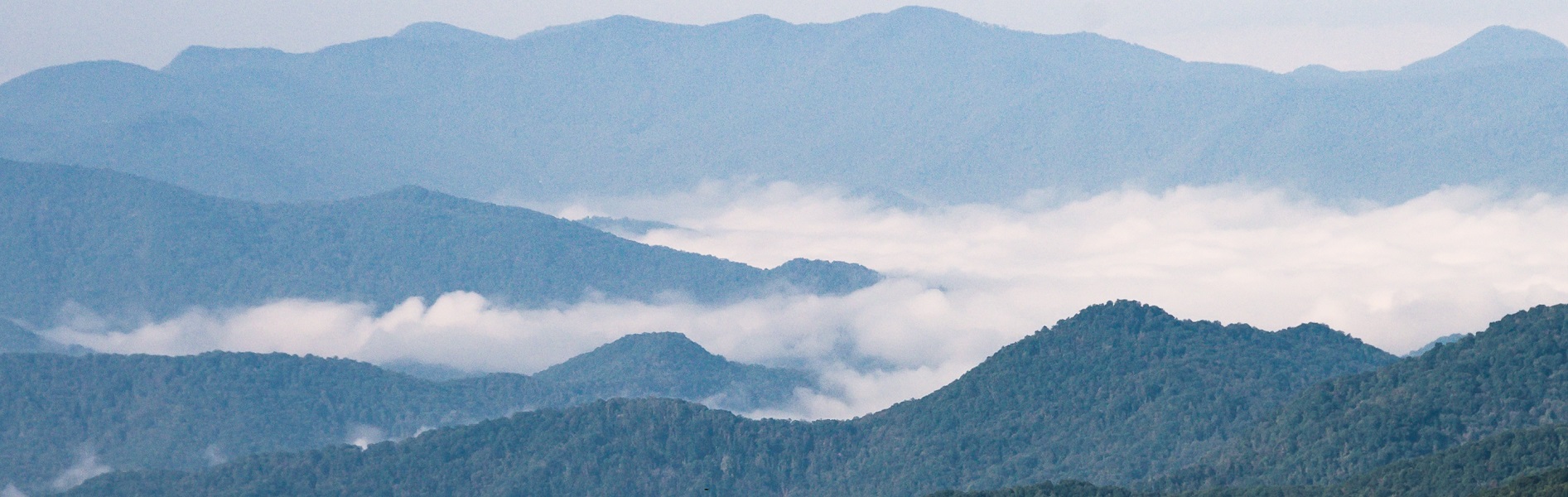 Services - Blue Ridge Family Chiropractic, PC